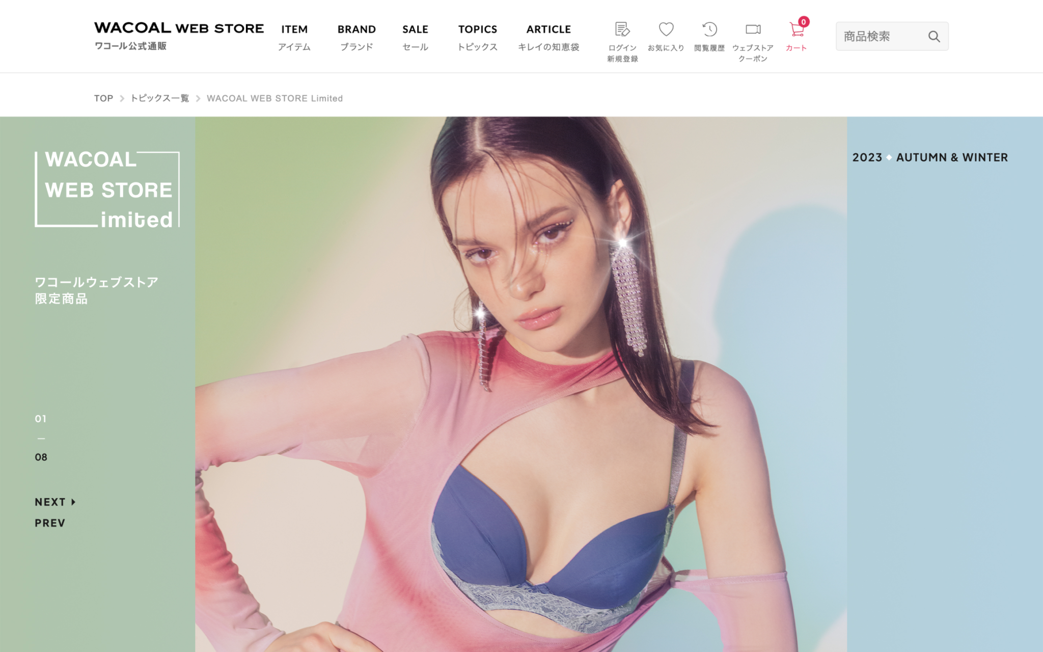 WACOAL WEB STORE Limited 2023AW | 株式会社 エヴォワークス -EVOWORX-